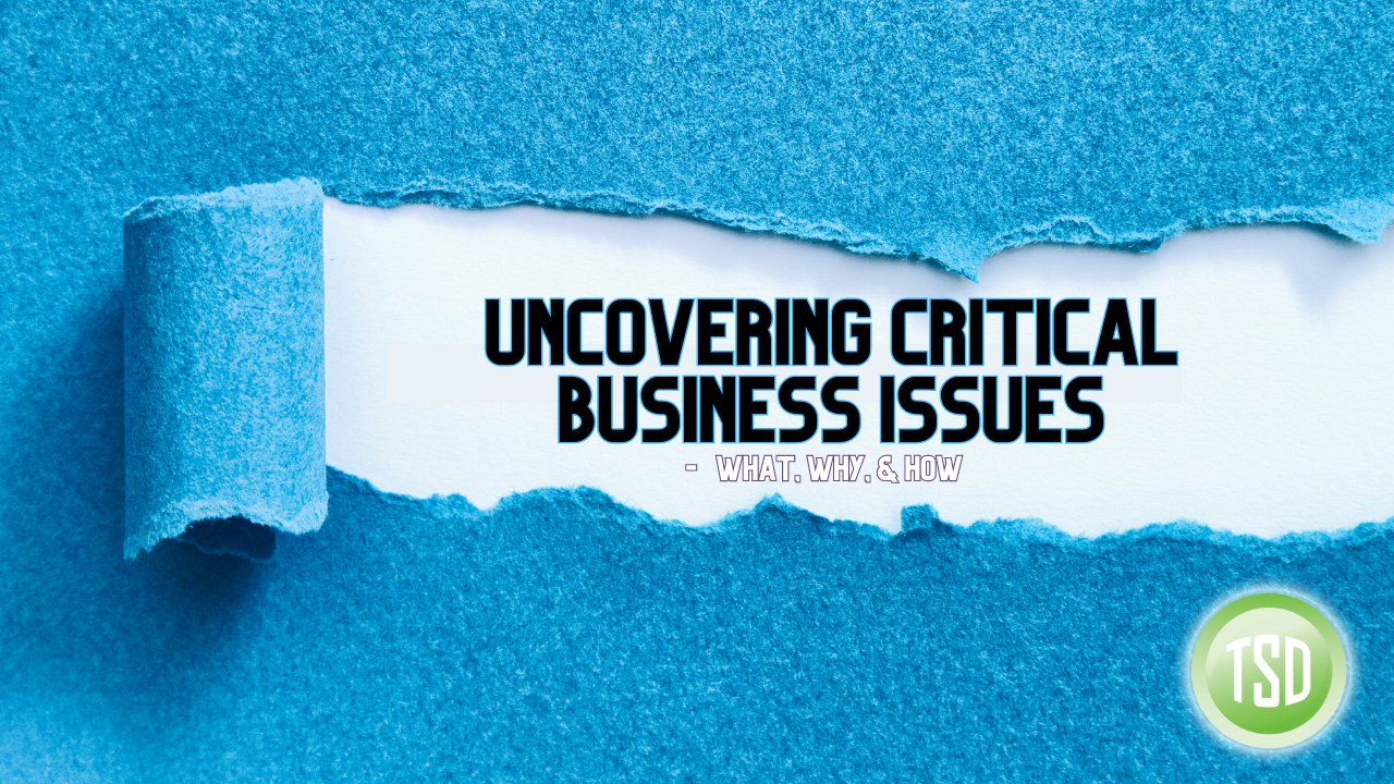 2023-09-04 | Uncovering Critical Business Issues – What, Why, and How ...